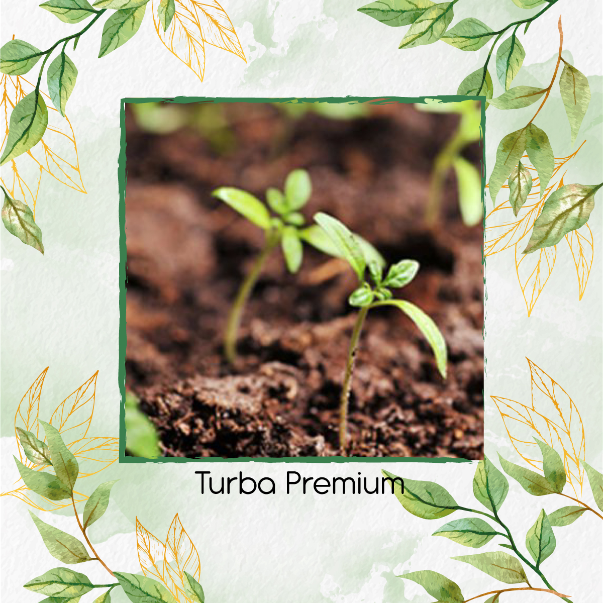 Turba Premium – Garden Green