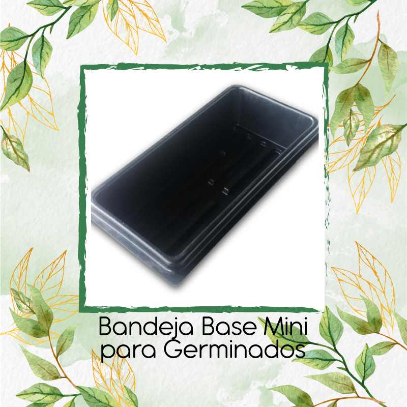Bandeja Base Mini Para Germinados – Garden Green